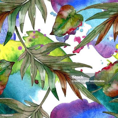 그린 팜 비치 트리 나뭇잎 수채화 배경 그림 설정 합니다 원활한 배경 패턴입니다 그리기에 대한 스톡 벡터 아트 및 기타 이미지 그리기 나무 나뭇가지 Istock