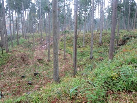 弁天虎口跡平林城新潟県村上市の周辺スポットニッポン城めぐり