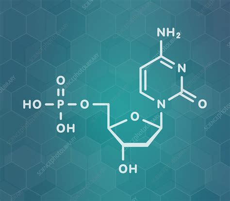 Deoxycytidine Monophosphate Nucleotide Molecule Stock Image F0278420 Science Photo Library