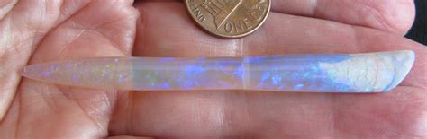 Belemnite Squid Gem Opal 28 4cts 1 975 Australian Opal Mines