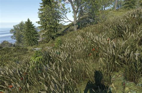 Nightfall Rust Cheat Dma Rust Cheats Cheatsdb Org Legit And Scam Cheats Database