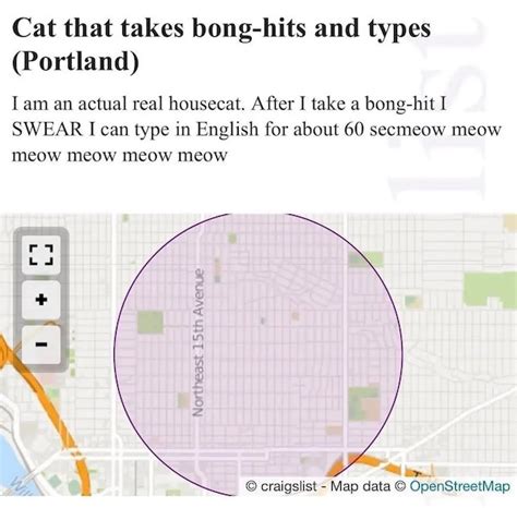 Stoner Cat Album On Imgur