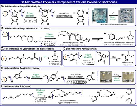 Selected Examples Of Self Immolative Polymers Composed Of Various