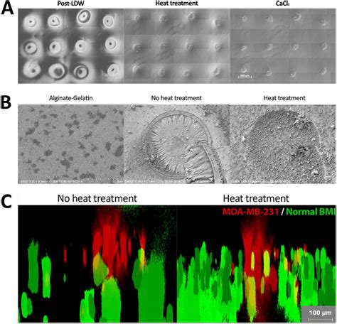 Deposition Of Single Microbeads Into Spatially Defined Arrays And Download Scientific Diagram