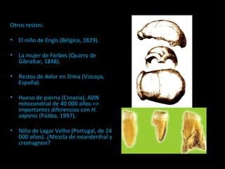 Neanderthal Monse Ppt