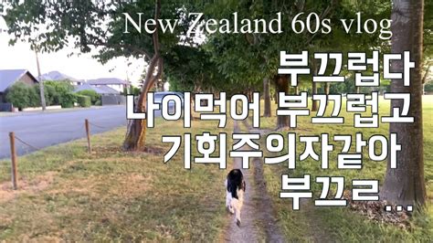 내 방에서 감상하는 남극 오로라 맞쥬 늦어서 보지 못한 시니어 이민자들의 캐롤서비스 막장드라마보다 흥미로운 정치의 세계에