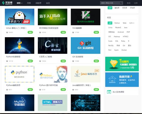 有类似codecademy的中文在线编程学习网站吗？ 知乎