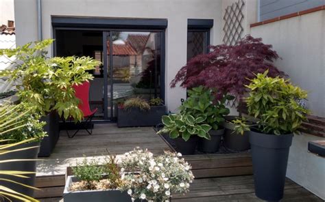 Végétaliser Une Terrasse à Lombre Mon Jardin Sappelle Reviens Decoration Plante Plante