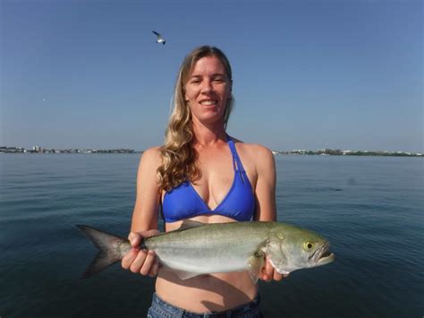 How To Catch Bluefish A Complete Guide Franklin North Carolina