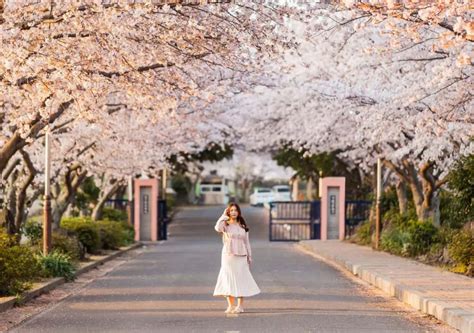 Kinh Nghiệm Du Lịch Jeju Cơ Bản Nhất Mà Bạn Cần Biết
