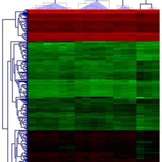 Hierarchical Clustering Using Euclidean Distance Comparing The Gene