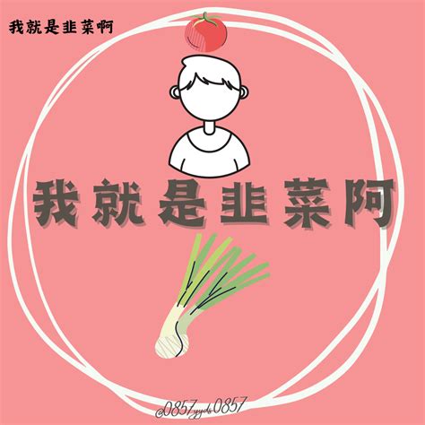 我就是韭菜阿 Instagram Portaly