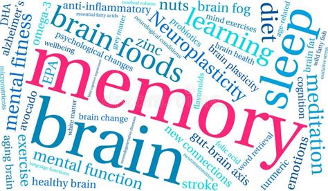 Memory Word Cloud Stock Vector Illustration Of Fitness 103968477