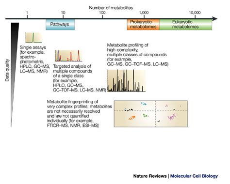 The Trade Off Between Metabolic Coverage And The Quality Of Metabolic Download Scientific