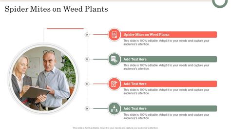 Spider Mites On Weed Plants In Powerpoint And Google Slides CPP PPT