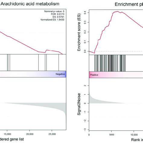 Biogenesis Of 24 Nt Sirnas And Their Role In Rna Directed Dna