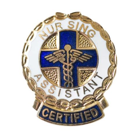 Nursing Assistanttechnicianaide Pins Merit Group