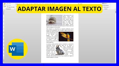 Cómo Insertar Imagen y Adaptarla a un Texto en Word YouTube