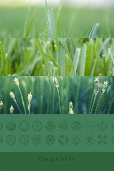 Crop Circle On Behance