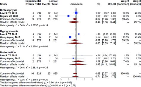 Effect Of Continual Metformin Treatment On Birth Outcomes In Offspring