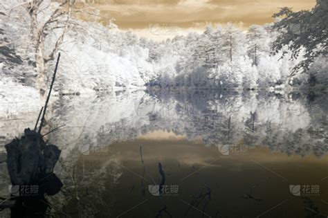地形红外摄影超现实主义的空的公园草透过窗户往外看湖夏天户外