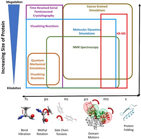 Role Of Computational Methods In Going Beyond X Ray Crystallography To Explore Protein Structure