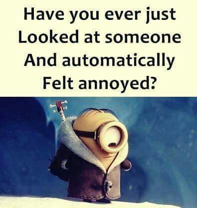 Looked At Person Felt Annoyed Funny Minion Quotes Minions Quotes