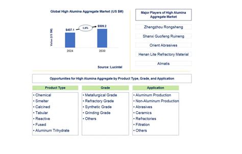 High Alumina Aggregate Market Report Trends Forecast And Competitive