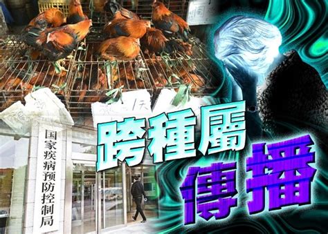 六旬妇染流感混禽流感病亡 无人传人｜即时新闻｜两岸｜oncc东网