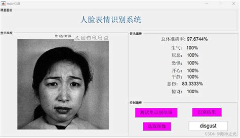 【人脸表情识别】基于matlab Gui深度学习卷积神经网络cnn人脸表情识别（含识别率 七种表情）【含matlab源码 4316期】基于