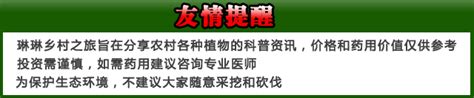 农田里一种辣味野草曾被农民当杂草如今却卖到18元一斤 搜狐