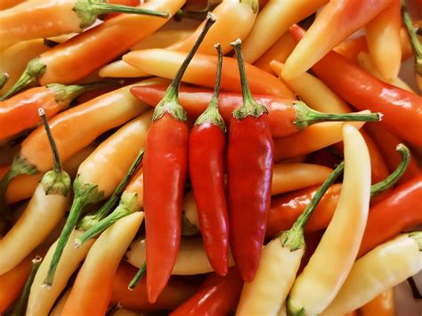 Chili Pepper Color Yellow Free Photo On Pixabay Pixabay