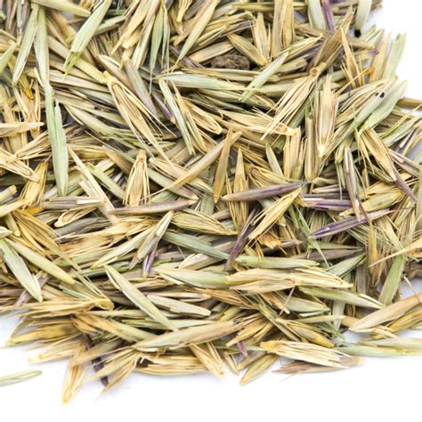 Agrostis Pallens Bentgrassper Lb Leballisters Seed And Fertilizer