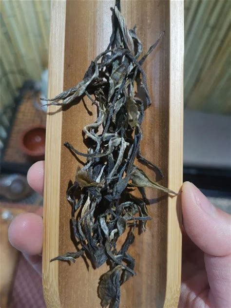 最銀南 普洱生茶是緊壓茶好還是散裝茶好？ 每日頭條