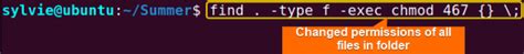 How To Change Permissions Of All Files In A Folder In Linux