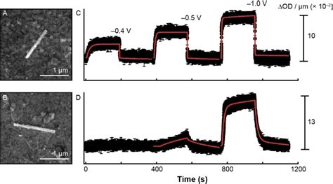 Representative Examples Of Single Particle Charge Storage Behavior A Download Scientific