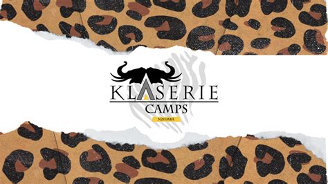 The Bush Telegraph On Our Leopards Klaserie Camp