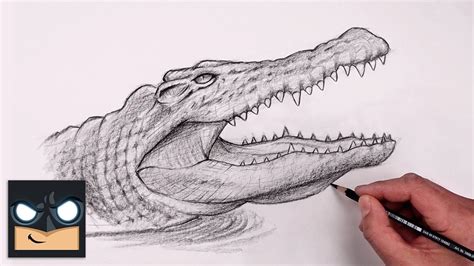 How To Draw Crocodile YouTube Studio Sketch Tutorial YouTube