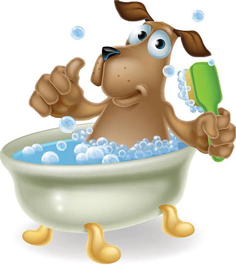 Best Scrub Brush Illustrations Royalty Free Vector Graphics And Clip Art