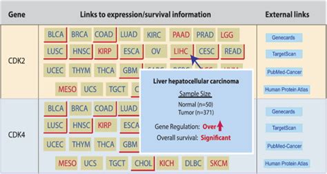 Ualcan An Interactive Web Portal To Perform To In Depth Analyses Of Tcga Gene Expression Data