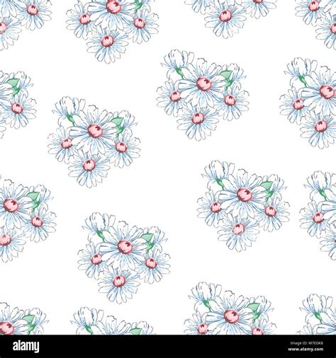 Chamomile Flower Hand Drawing Seamless Pattern Vector Floral