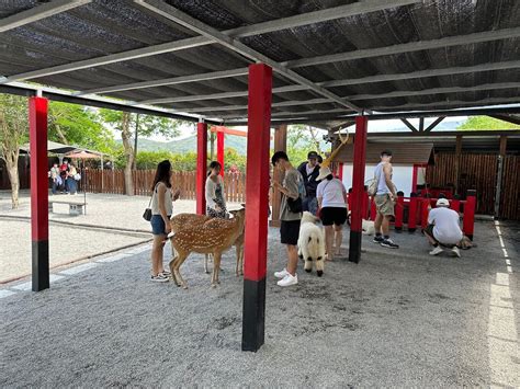 宜蘭親子景點推薦：張美阿嬤農場全攻略 附近景點 旅遊極短篇 Blog