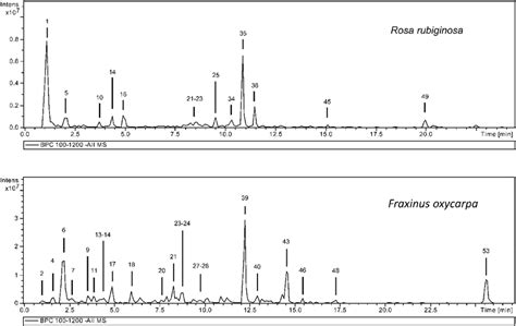 Hplc Esims N Base Peak Chromatograms Bpcs Of The Methanol Extracts