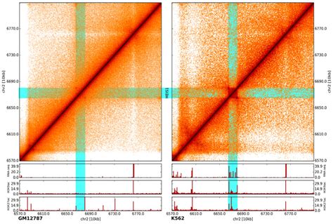 A Comparison Of Two Maps By Visualization Differences In The Contact Download Scientific