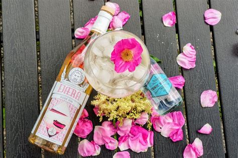 Dobbelt Norsk Flere Oppskrifter Med Norske Gin Og Tonic Alt Om Gin