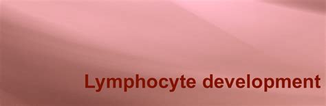 Research Medical School