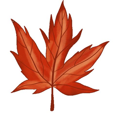 Fall Autumn Sticker By Decorating Outlet Find And Share On Giphy Red