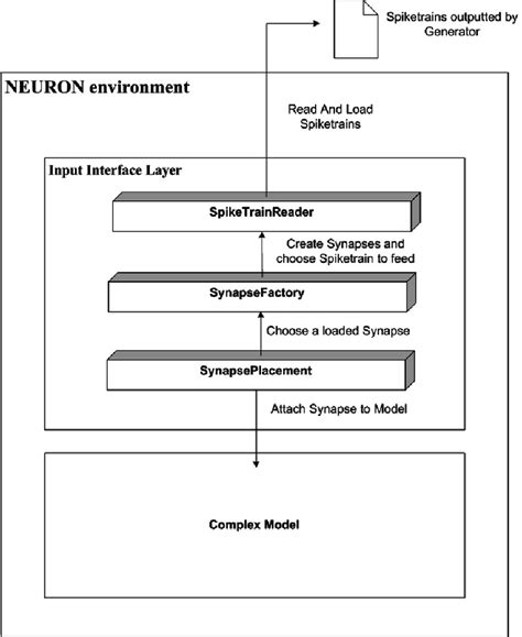 10 summary of the components we developed in the neuron simulation
