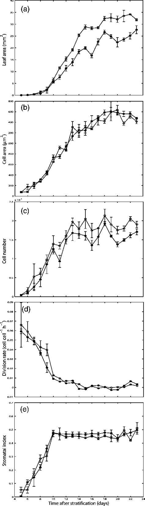 Figure 6 From The Apc C Subunit 10 Plays An Essential Role In Cell Proliferation During Leaf
