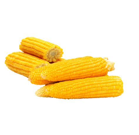 60 Free Corn Cut And Corn Images Pixabay